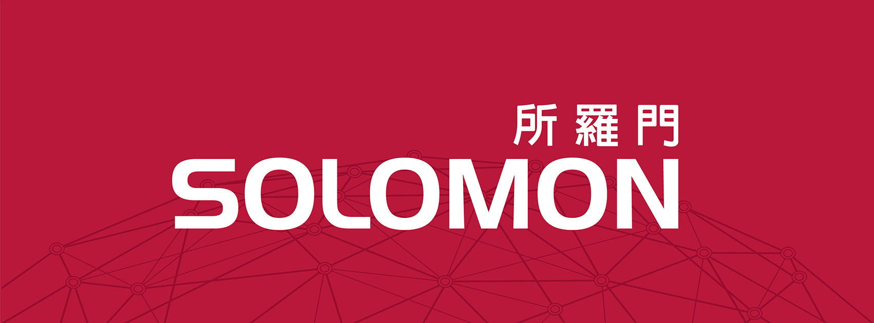 SOLOMON 3D Vision with Intelligence